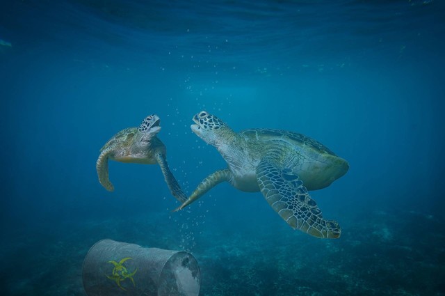 Faktor Penyebab Kerusakan Sumber Daya Laut | kumparan.com