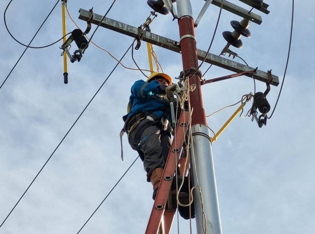 Jelang Idul Adha, PLN Pontianak Gencar Lakukan Pemeliharaan Jaringan ...