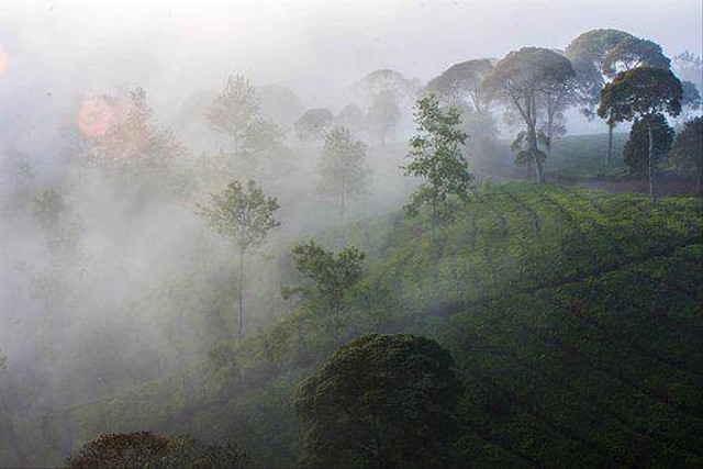 6 Tempat Wisata Bandung Selatan yang Lagi Hits | kumparan.com