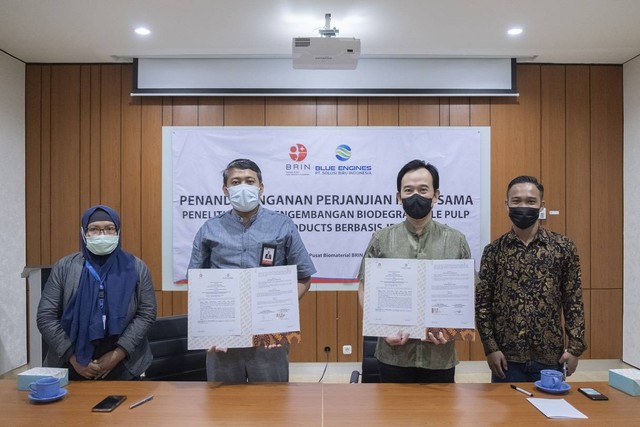 Inovasi BRIN-Blue Engines Ubah Jerami menjadi Bubur Kertas Ramah ...