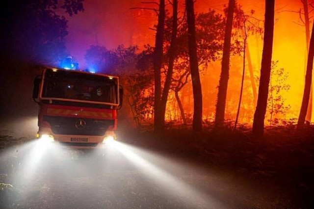 Kebakaran Hutan Di Prancis Meluas Jadi 10 Ribu Hektar 12 Ribu Orang