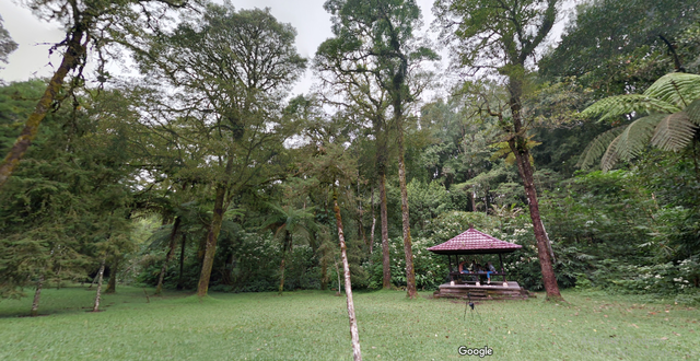 Catat! Inilah Rute ke Kebun Raya Bedugul Bali | kumparan.com