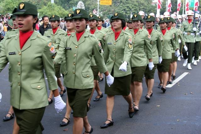 Syarat Masuk Kowad, Pasukan TNI AD Wanita di Indonesia | kumparan.com