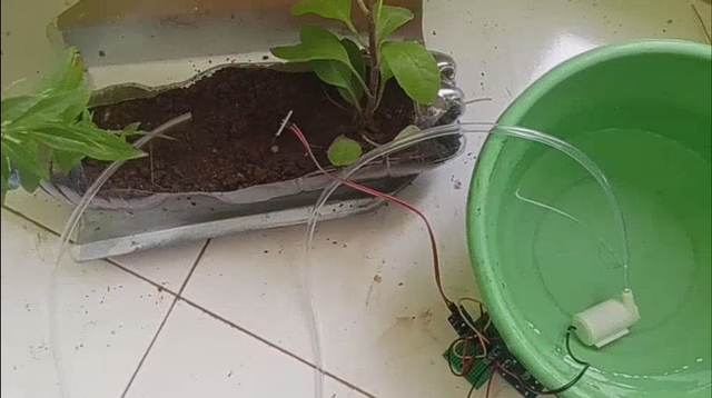 Mahasiswa KKN UNDIP Kenalkan Sistem Penyiraman Tanaman Otomatis ...