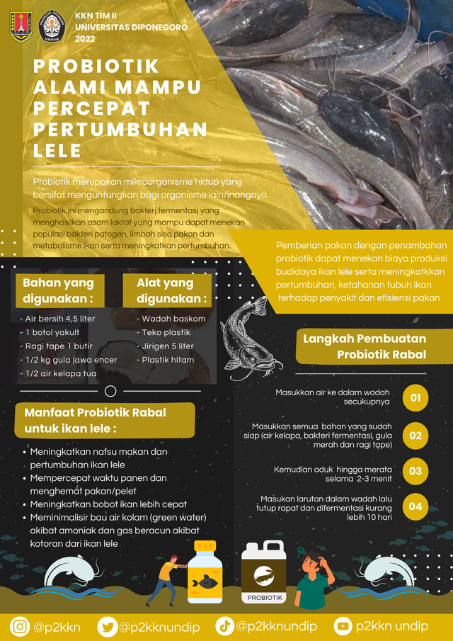 Mudah dan Murah! Mahasiswa KKN UNDIP Buat Probiotik Ikan dengan ...