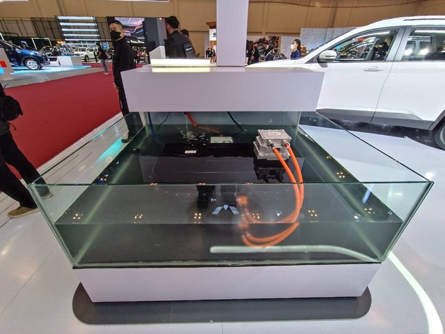 Baterai Mobil Listrik Wuling Air ev Direndam Air di GIIAS 2022 ...