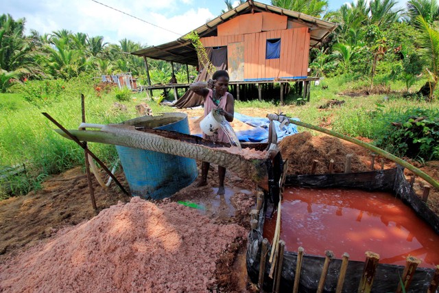 Foto: Melihat Pengolahan Sagu di Tepi Danau Sentani | kumparan.com