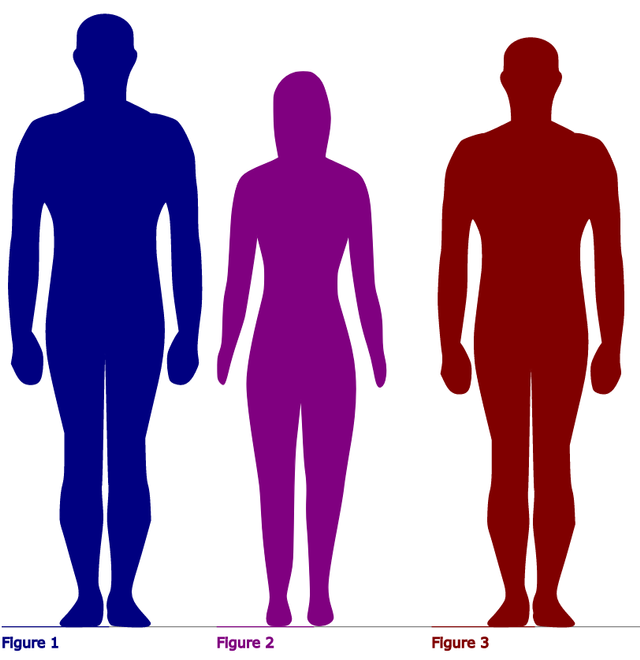 Web Perbandingan Tinggi Badan dengan Orang Lain Tanpa Harus Bertemu ...