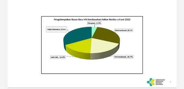 Data Sebaran Kasus HIV di RI Per Juni 2022: Jakarta Nyaris 100.000 ...