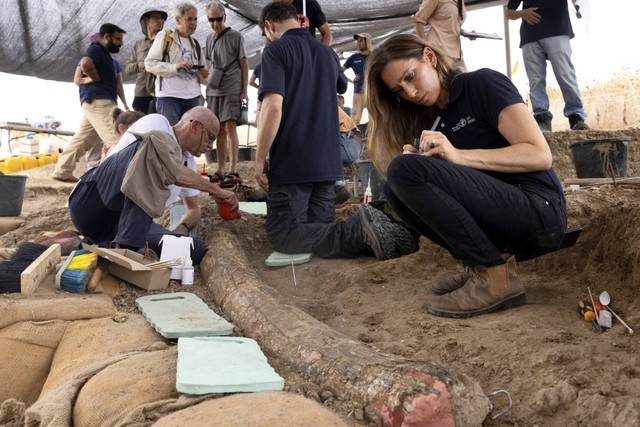 Foto: Gading Gajah Langka Berusia 500.000 Tahun Ditemukan di Israel ...