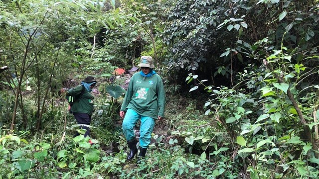 Kisah Ranger Perempuan di Aceh: Mengusir Pembalak, Menanam Pohon (2 ...