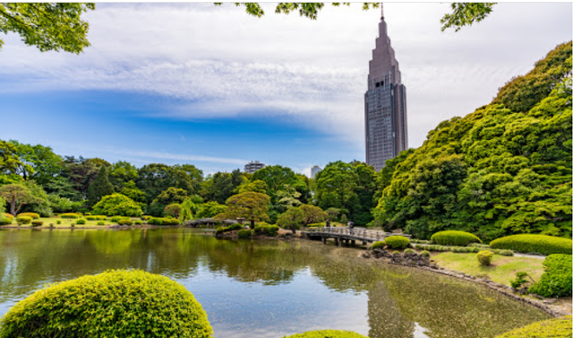 6 Taman Bunga Terindah di Jepang yang Menawan | kumparan.com