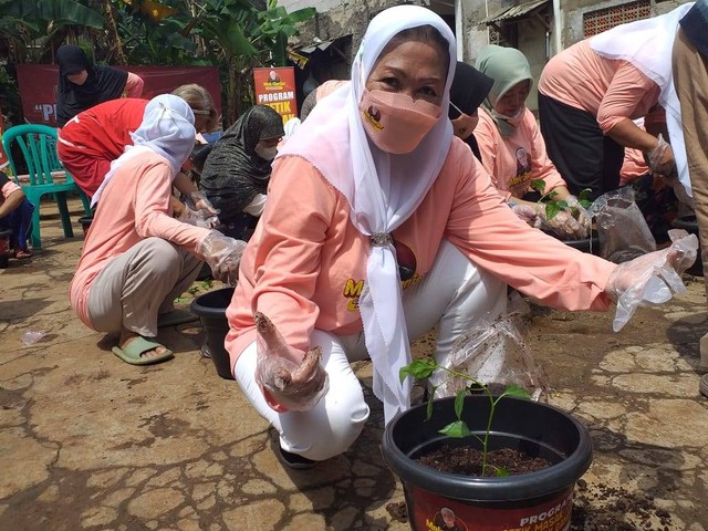 Program Petik Masak, Relawan Mak Ganjar Bagikan 300 Bibit Cabai di Cilandak | kumparan.com