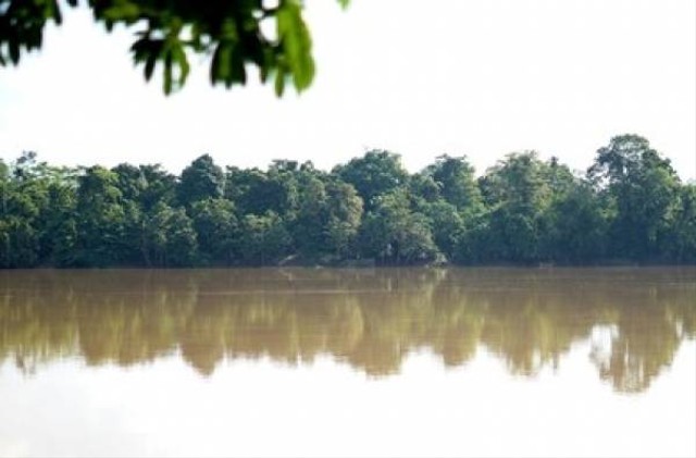 Menjaga Kelestarian Sungai Batanghari | kumparan.com