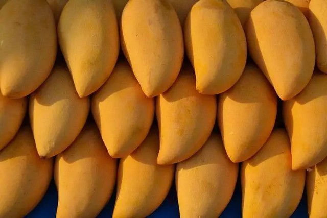 6 Jenis Mangga di Indonesia yang Lezat dan Segar | kumparan.com