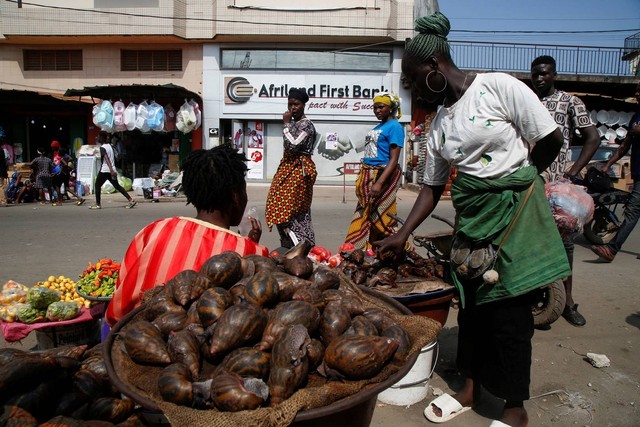 Foto: Melihat Budidaya Siput Raksasa Setara Kaviar di Pantai Gading ...