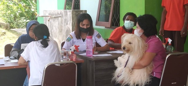 Vaksinasi Rabies Gratis Digelar di Kota Sorong | kumparan.com