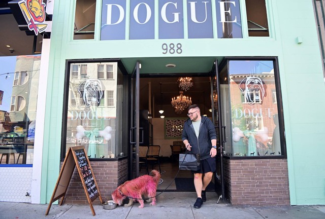 Foto: Mengunjungi Dogue, Restoran Untuk Anjing di California | kumparan.com
