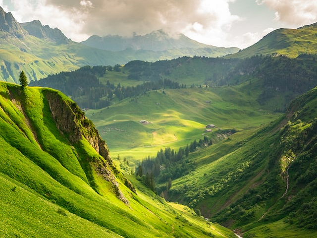 Jenis dan Makna Warna Hijau yang Menarik untuk Diketahui | kumparan.com