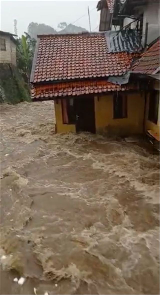 Bogor Diguyur Hujan: Rumah Terbawa Arus hingga Pohon di Depan Mal BTM Tumbang | kumparan.com