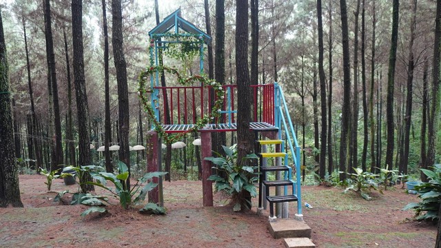 Menikmati Keindahan Alam yang Tenang dan Sejuk di Wisata Bukit Pinus ...
