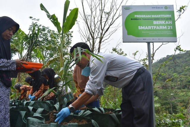 BPD DIY Syariah-IZI DIY Resmikan Program Smartfarm Budidaya Tanaman ...