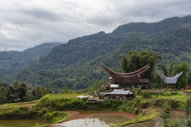 Esai Foto: Ritual Manene Suku Toraja dari Leluhur untuk Leluhur ...