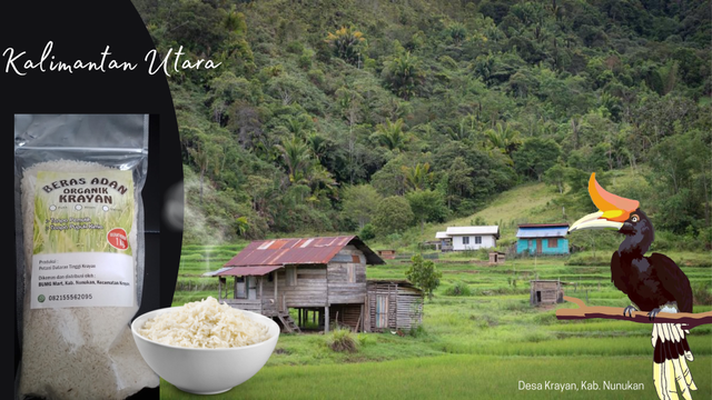 Nikmatnya Nasi Adan Krayan & Sambal Dayak Khas Tarakan | kumparan.com