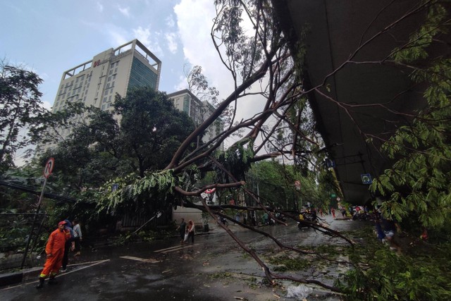20 Titik Pohon Tumbang di Jakarta Selatan, Hati-hati Melintas | kumparan.com