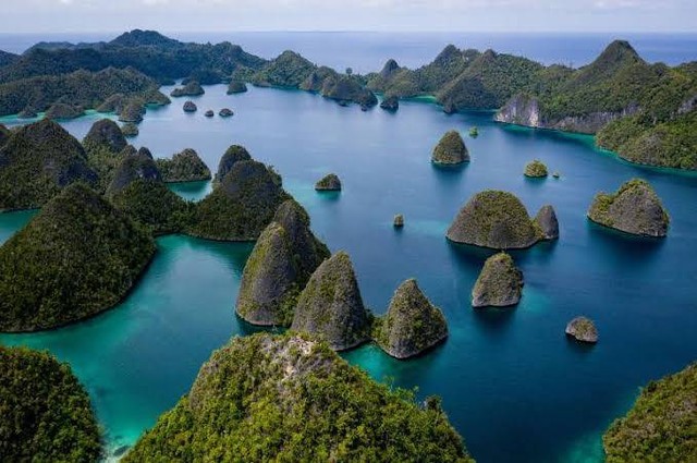 Laguna Wayang Raja Ampat Menjadi Fokus Pembesaran Pari Manta | kumparan.com