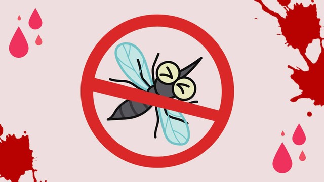 Mencegah DBD di Musim Hujan Melalui PHBS | kumparan.com