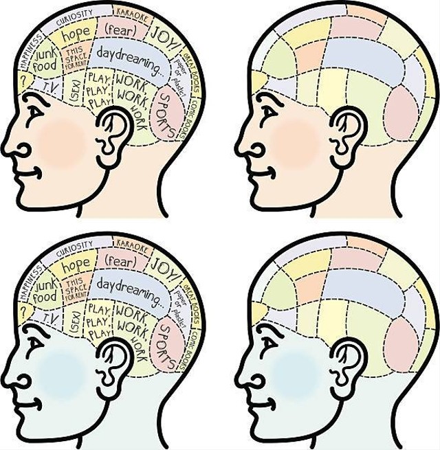 Pseudosains sebagai Perkembangan Ilmu pada Teori Frenologi | kumparan.com