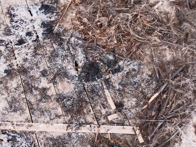 Pos Polisi di Puncak Papua Tengah Nyaris Dibakar KKB | kumparan.com