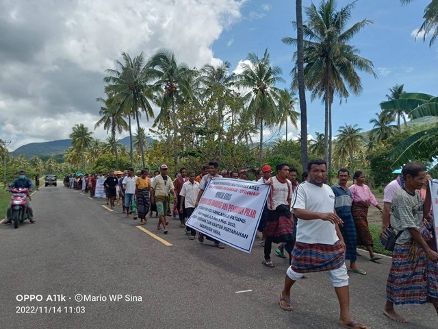 Warga 2 Suku di Sikka Gelar Demo Tolak Penanaman Pilar Tanah Eks HGU ...