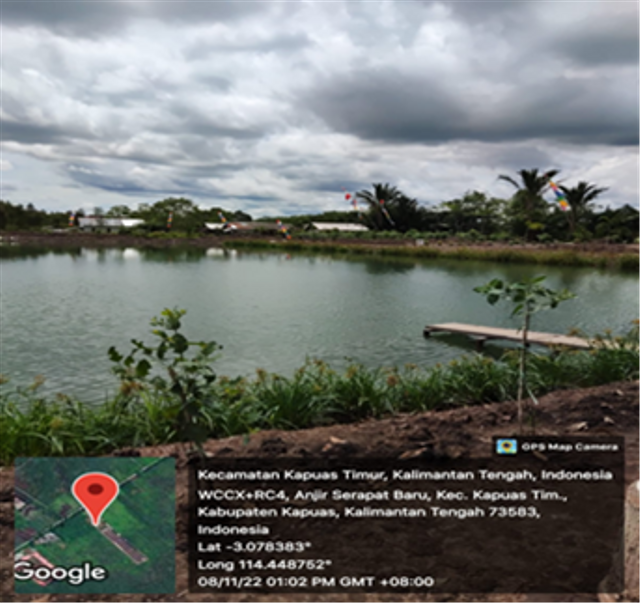 Pengelolaan dan Manfaat Lahan Basah di Kalimantan | kumparan.com