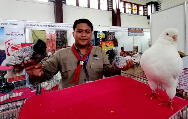 Bukan Fiksi, Burung Merpati Memang Bisa Antarkan Surat Sampai Tujuan ...
