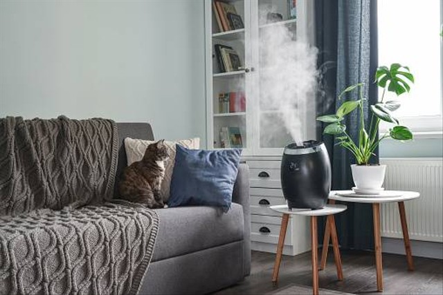 Cara Menggunakan Humidifier yang Tepat dan Tips Menjaga Kebersihannya ...