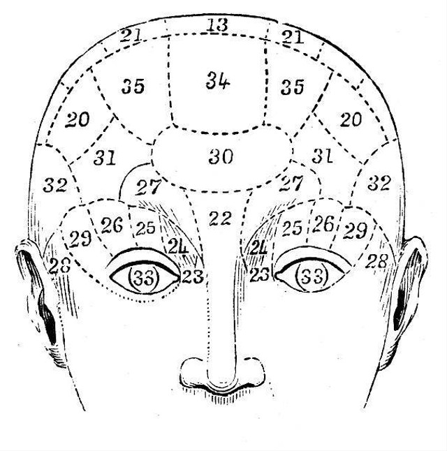 Frenologi: Pseudosains yang Pernah Dianggap Ilmiah | kumparan.com