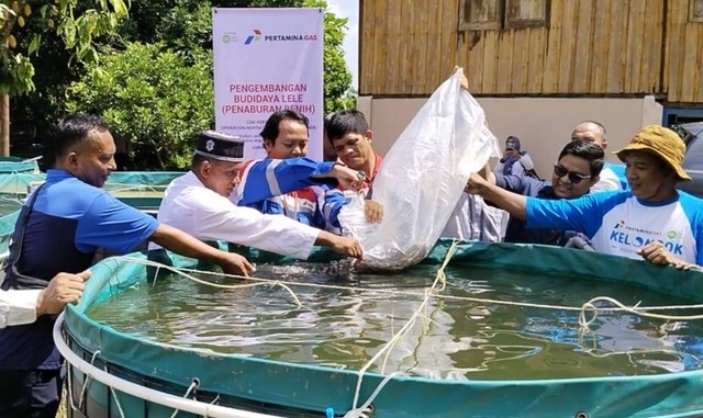 Pertagas ONSA Salurkan Program CSR Budidaya Lele untuk Masyarakat ...