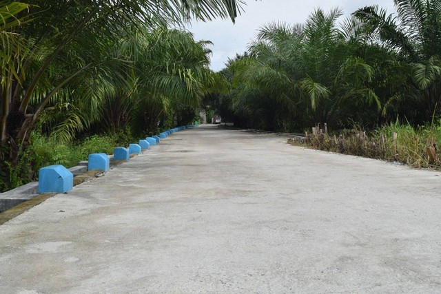 Manfaatkan Limbah Batu Bara, PLN Bangun Jalan Desa di Pekanbaru | kumparan.com