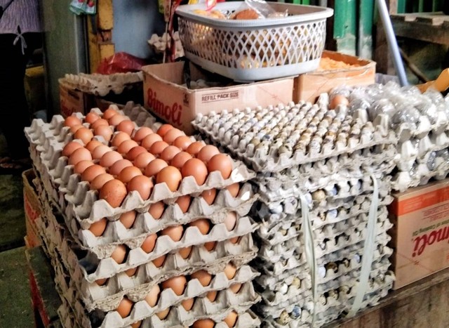 Harga Telur Ayam di Sikka Mulai Naik Jelang Natal dan Tahun Baru ...