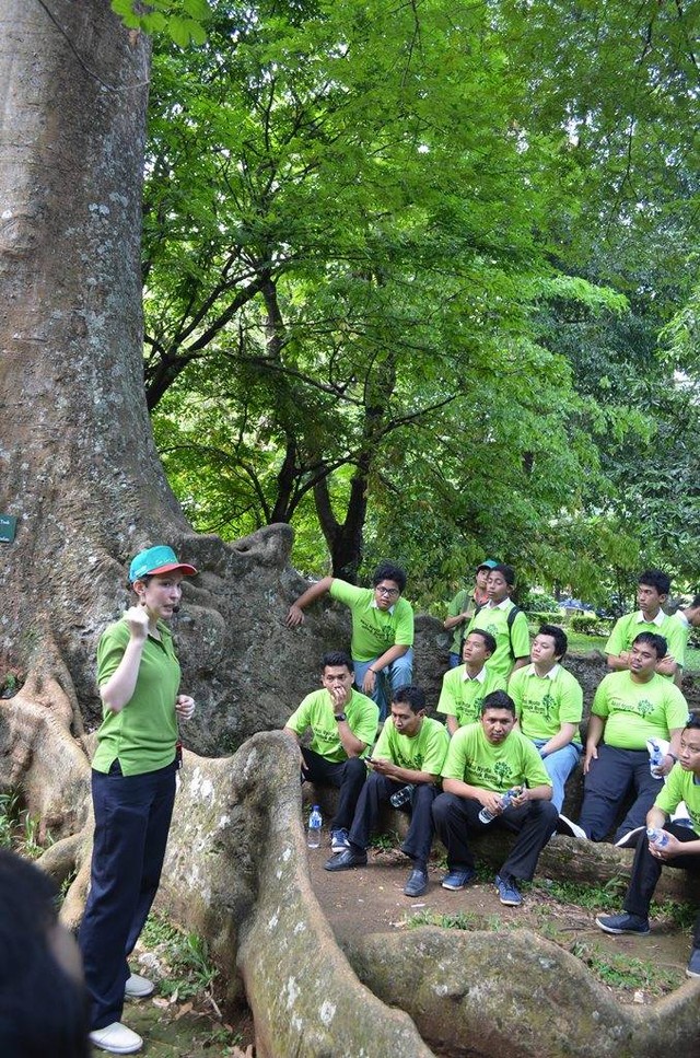 Pesona Pohon Raja Kebun Raya Bogor | kumparan.com
