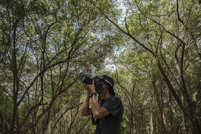 Foto: Semakin Ramah Lingkungan Wisata Alam Mangrove Angke Kapuk di ...