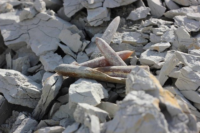 Bone Culture Merupakan Hasil Kebudayaan Mesolitikum. Apa Maksudnya ...