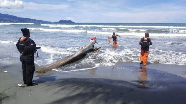 Seorang Wisatawan Tenggelam di Pantai Holtekamp Jayapura | kumparan.com Seorang Wisatawan Tenggelam di Pantai Holtekamp Jayapura | kumparan.com