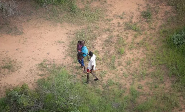 Kisah Bocah 4 Tahun Tersesat di Hutan Afrika Penuh Hyena Selama 6 Hari | kumparan.com