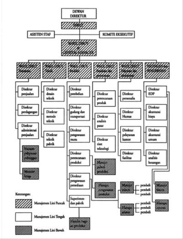 Contoh Bagan Organisasi dan Cara Membuatnya | kumparan.com