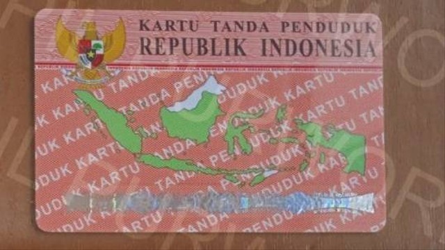 Dirjen Dukcapil: WNA Bisa Buat e-KTP, tapi Tidak Bisa Ikut Pemilu ...