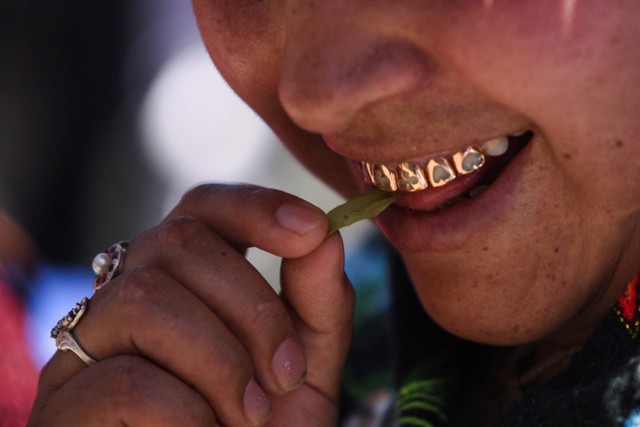 Foto: Warga Bolivia Jalani Tradisi Mengunyah Daun Koka Bahan Utama ...