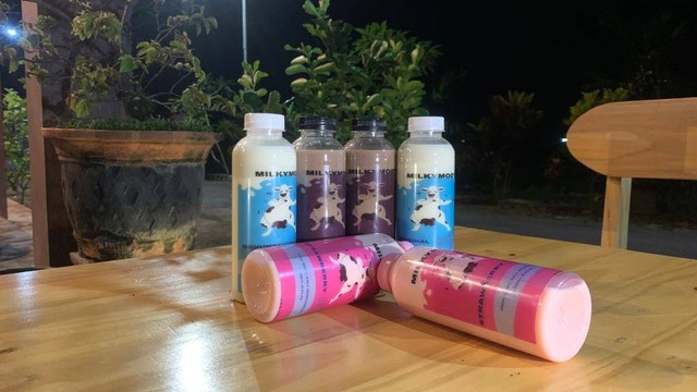 Pendampingan Produk Olahan Susu Sapi Varian Rasa untuk UMKM Desa ...